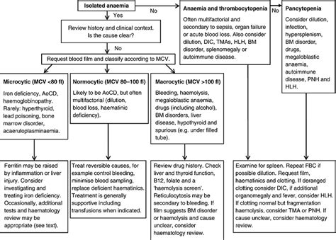 Diagnostic Approach To Anaemia In Critical Care Oncohema Key