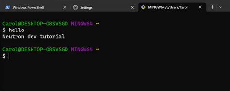 add git bash to windows terminal neutron dev