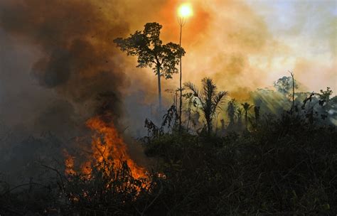 Incêndios Na Amazônia Continuam Em Níveis Elevados Brasil Diario De