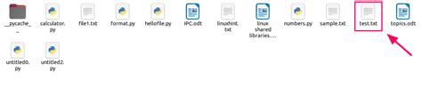 python code to delete a file linux hint