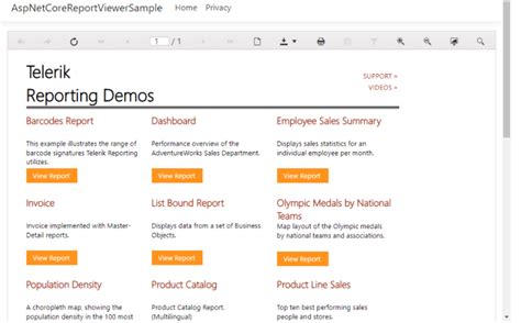 how to embed reporting into your asp core web app