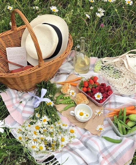 🧚🏼‍♀️ Picnic Picnic Inspiration Picnic Date
