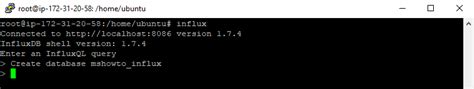 influxdb ve grafana ile sql server monitoring Çağlar Özenç
