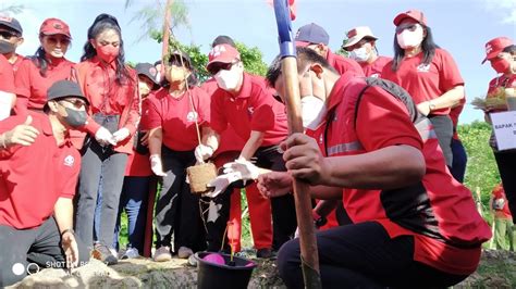 Megawati Soekarnoputeri Ulang Tahun Ke 75 Kader Pdip Bali Beri Kado