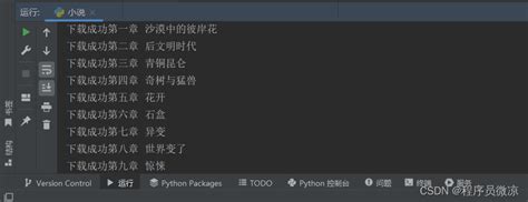 利用python爬取小说（附源码） Python爬小说代码 Csdn博客