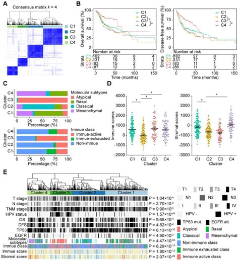 As Based Clusters Significantly Associated With Prognosis Molecular