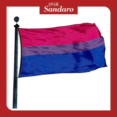 Bi Pride Flag 3 X 5 Ft Gay Homosexual Lesbian Queer Tran Lgbt Lgbtq