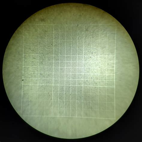 Improved Neubauer Hemocytometer Cell Counting Chamber With Bright Lin