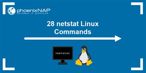netstat command syntax netstat commands to manage network in linux images