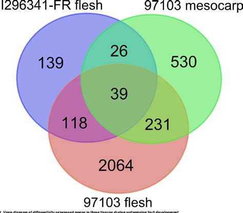 Figure 2 From Comparative Transcriptome Analysis Of Cultivated And Wild