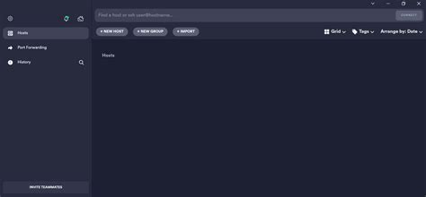 easily connect to your servers with termius gridpane