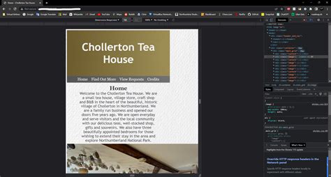 images not scaling properly in rwd r webdev