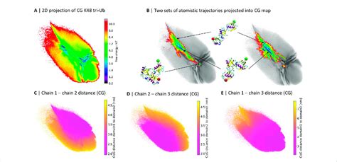 2d Projections Of K48 Linked Tri Ub Trajectories From Coarse Grained