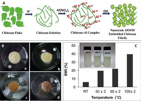 A A Schematic Representation Showing The Formation Of Alooh Chitosan