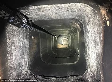 California Burglary Suspect Gets Stuck In Chimney Daily Mail Online