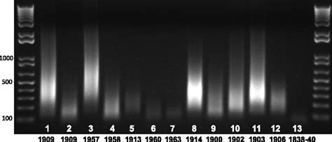 Efficient Cross Species Capture Hybridization And Next Generation