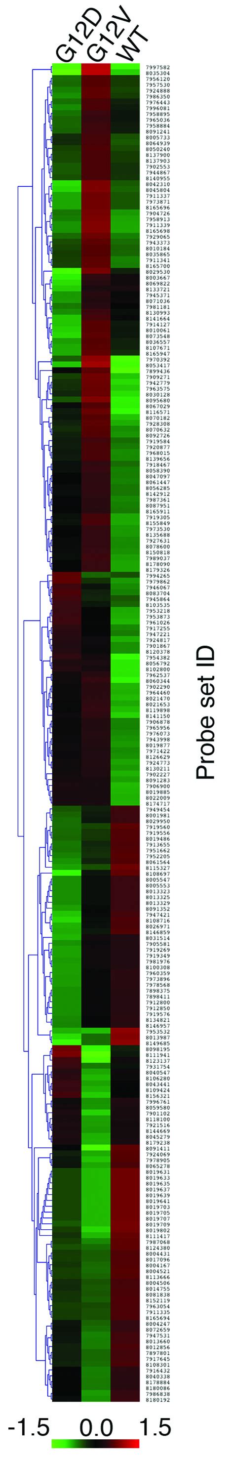 microarray analysis performed with tigr mev program hierarchical