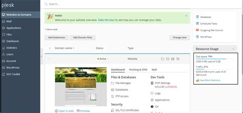 how to view the plesk website statistics and disk space utilization