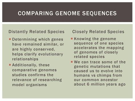 Genomes And Their Evolution Ppt Download