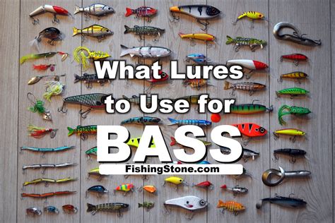 What Is The Best Bait For Australian Bass At Sharon Anthony Blog
