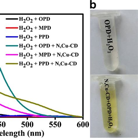 A Uv Vis Absorption Spectra And B Linear Calibration Plots For Opd