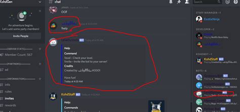 discord developer invite bot the best developer images