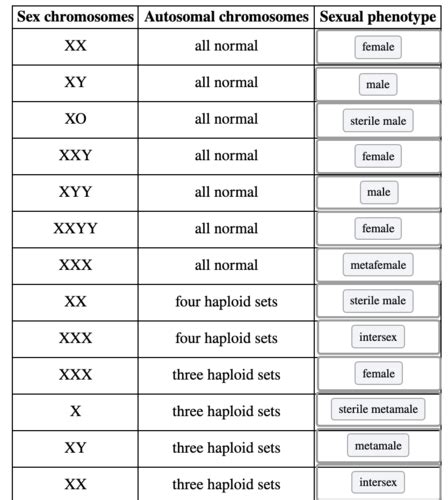 Bio 211 Exam Part 2 Flashcards Quizlet