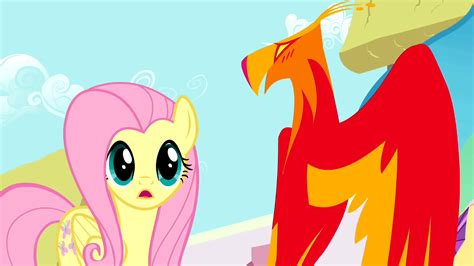 image philomena apologizes to fluttershy s01e22 png my