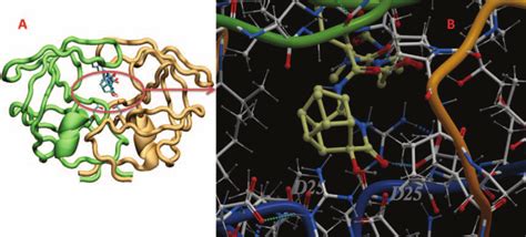 A Lowest Energy Docked Structure For The Most Active Compound 11a