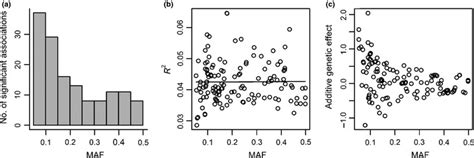 The Effect Of Minor Allele Frequency Maf On The Genetic And The