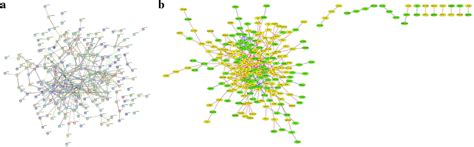 Visualization Of Protein Protein Interaction Ppi Network A