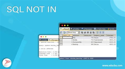sql not in usage and examples of not in statement in sql
