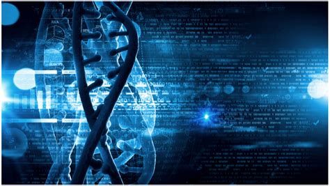 What Does ‘high Throughput Mean In Sequencing Alithea Genomics