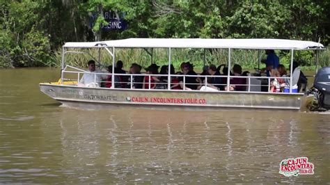 Cajun Encounters Tours Youtube