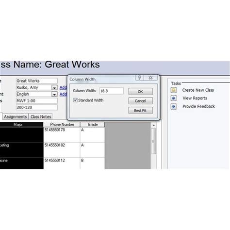 how to resize a row or column in access