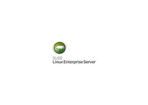 suse linux enterprise server x86 and x86 64 standard subscription 1