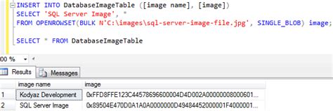 how to save images binary files in a sql server database