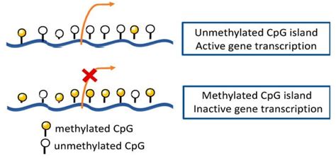 Dna Methylation Based Testing In Liquid Biopsies As Detection And