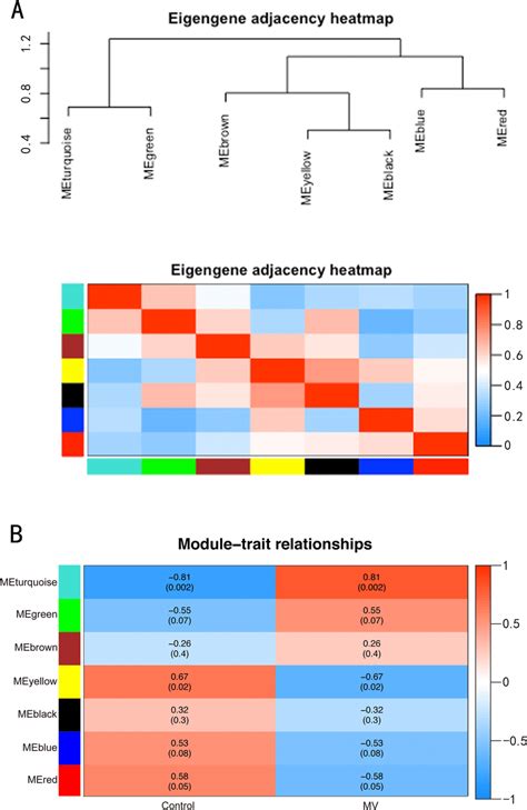 Module Trait Correlations A Eigengene Adjacency Heatmap Eigengene