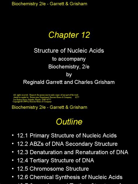 Nucleic Acids Structure Definition Examples Types