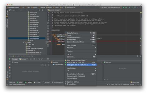 debug client test