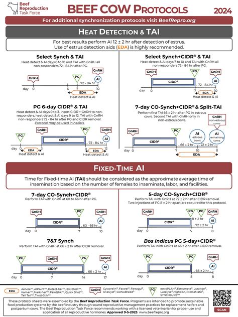 Beef Cow Synch Protocols Select Sires Beef