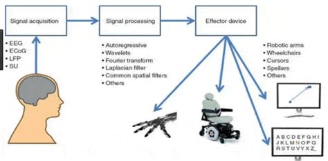 Brain Computer Interface Bci Ai With Neuropsychology