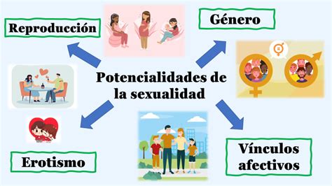 Adultos En Construcción Nueva Escuela Mexicana Digital