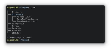 find command in linux with regex [5 examples]