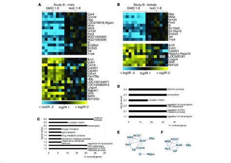 Heatmap Of Differentially Expressed Genes And Go Analysis Heatmaps