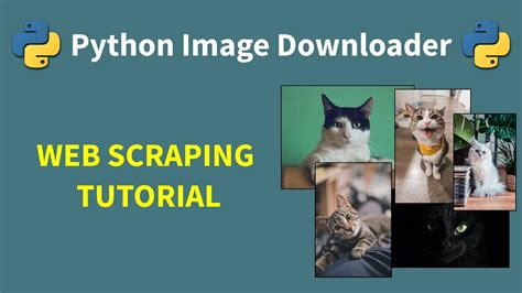 python web scraping tutorial download images with python automatically