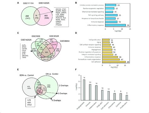 Differential Expression Profiles Of Mrnas During Edn And Dn A A