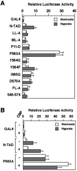Analysis Of The Transactivation Function Of N Tad Mutant Proteins A