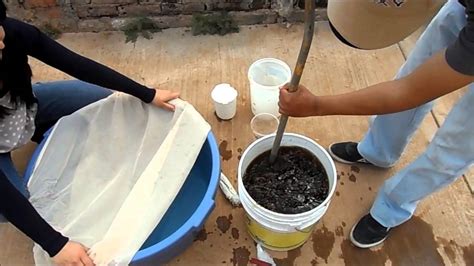 Preparacion Para La Aplicacion De Trichodermas Youtube